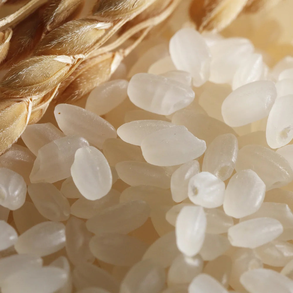 (Rice) Ceramide Capsule Cream